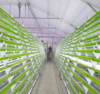 Vito - Mol, 2400, Boeretang 200 | Bedrijfsinfo via bsearch.be