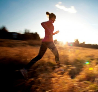 Vito - Mol, 2400, Boeretang 200 | Bedrijfsinfo via bsearch.be